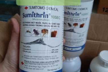 Thuốc diệt côn trùng Sumithrin 10SEC - Diệt Mối Thành Công